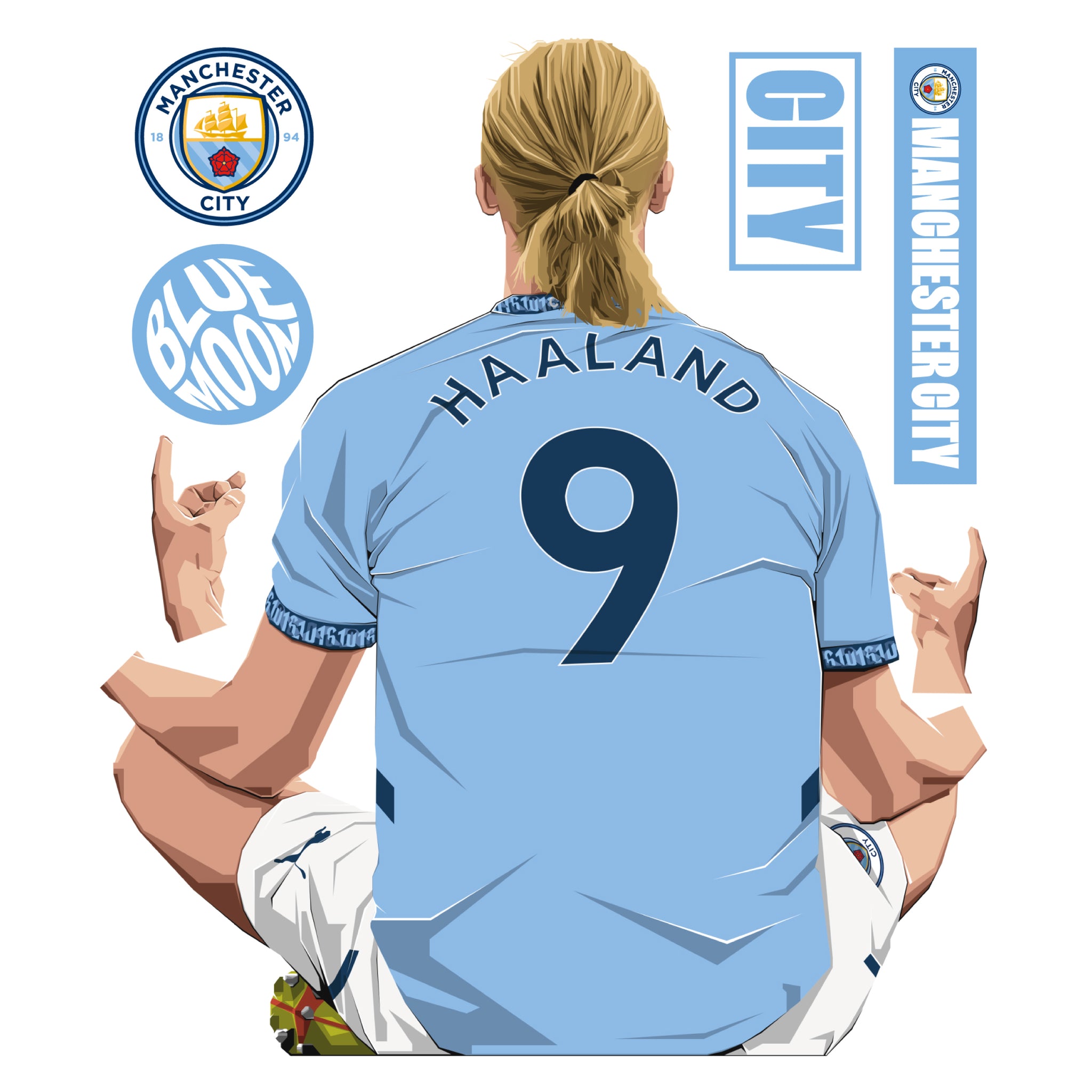 Official Manchester City - Erling Haaland 24-25 Illustration Wall Stic ...