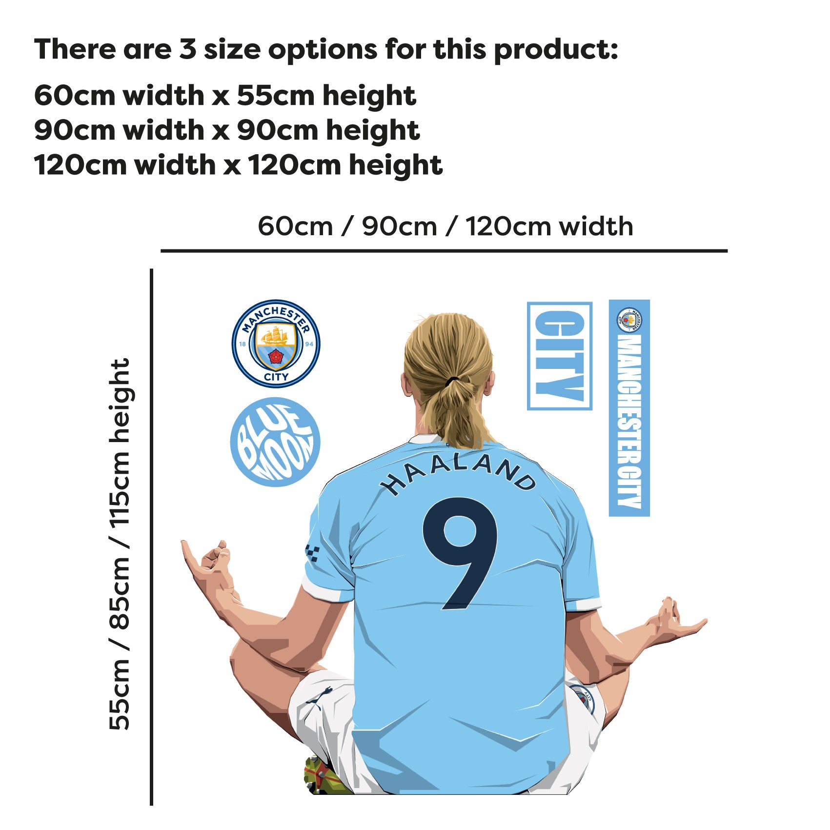 Official Manchester City - Erling Haaland 25-26 Illustration Wall Stic ...