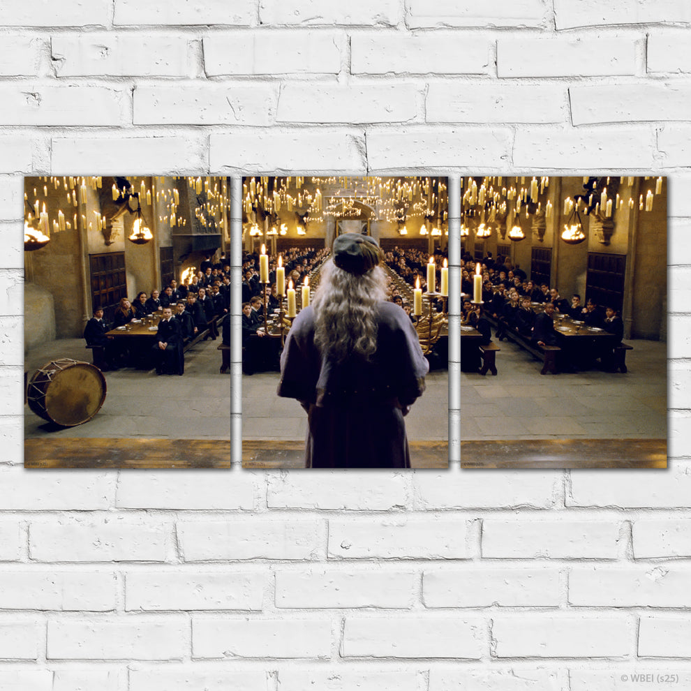 HARRY POTTER Print – Dumbledore Great Hall - Set Of 3 Posters – www ...