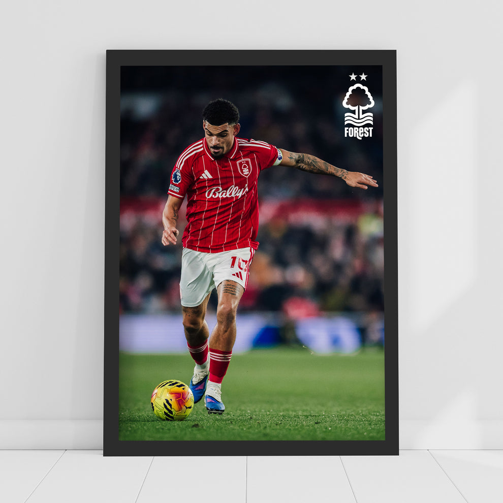 Nottingham Forest FC Print - Morgan Gibbs-White Action Shot Poster ...