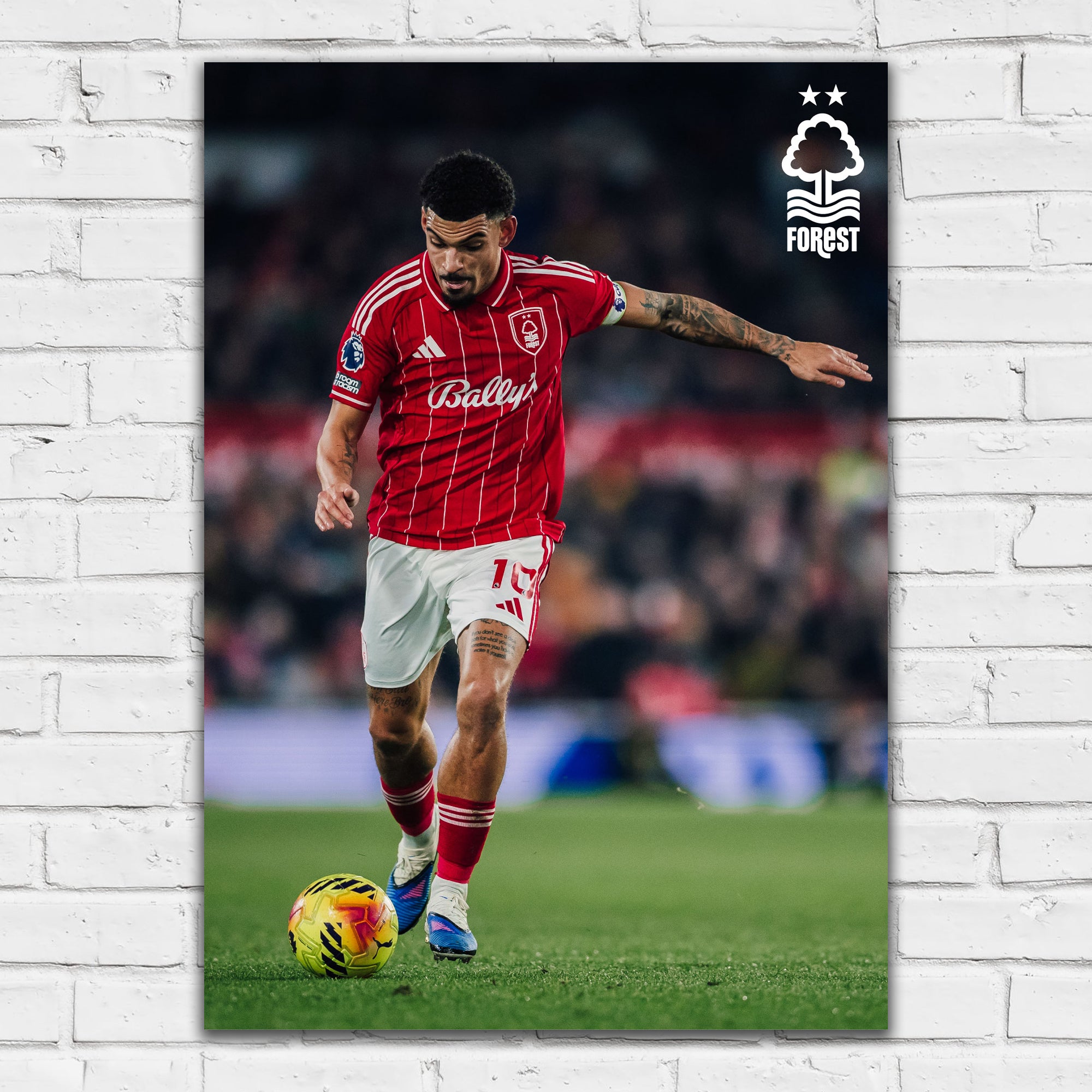 Nottingham Forest FC Print - Morgan Gibbs-White Action Shot Poster ...