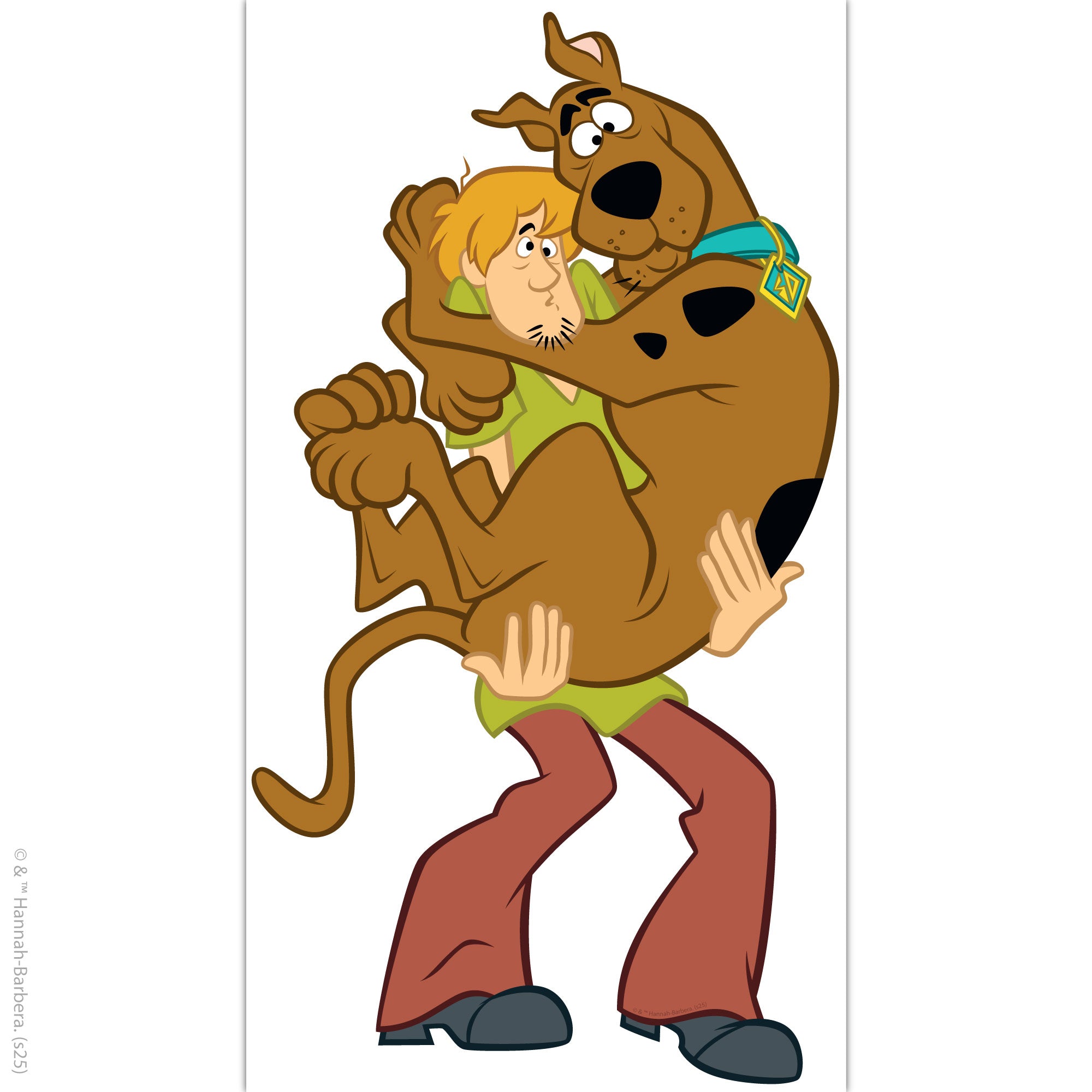 Scooby-Doo Wall Sticker – Shaggy Holding Scooby Doo Decal Wall Art ...