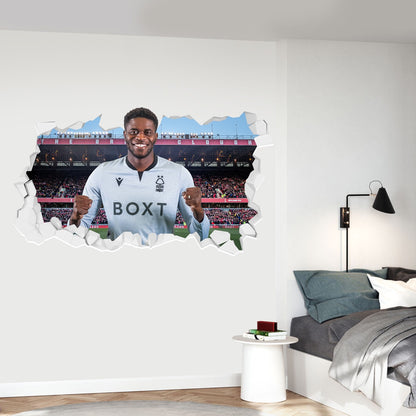 Nottingham Forest FC - Brice Samba Broken Wall Sticker + Decal Set ...