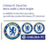 Chelsea FC - Palmer 24/25 Broken Wall Sticker + Decal Set – www.themed ...