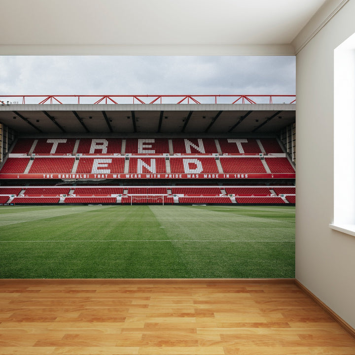 Official Nottingham Forest Wall Art – www.themed.co.uk