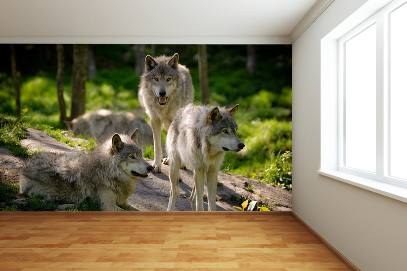 Wolf Pack Wall Mural – www.themed.co.uk
