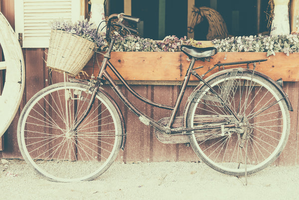 Vintage bicycle photos store